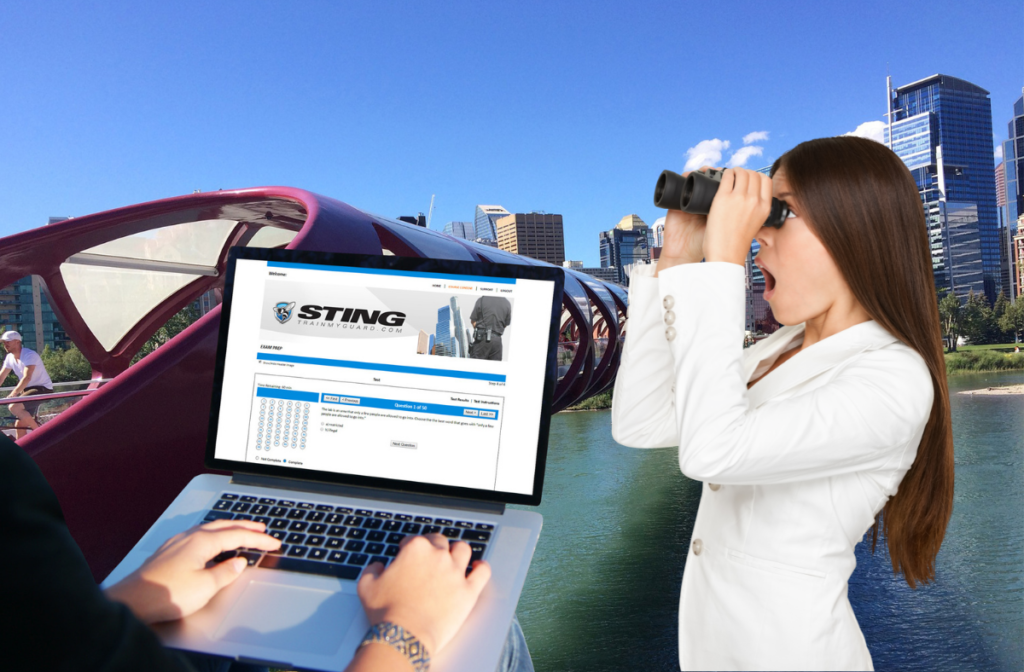 How to Become a Private Investigator in Alberta - Sting Executive Group ...