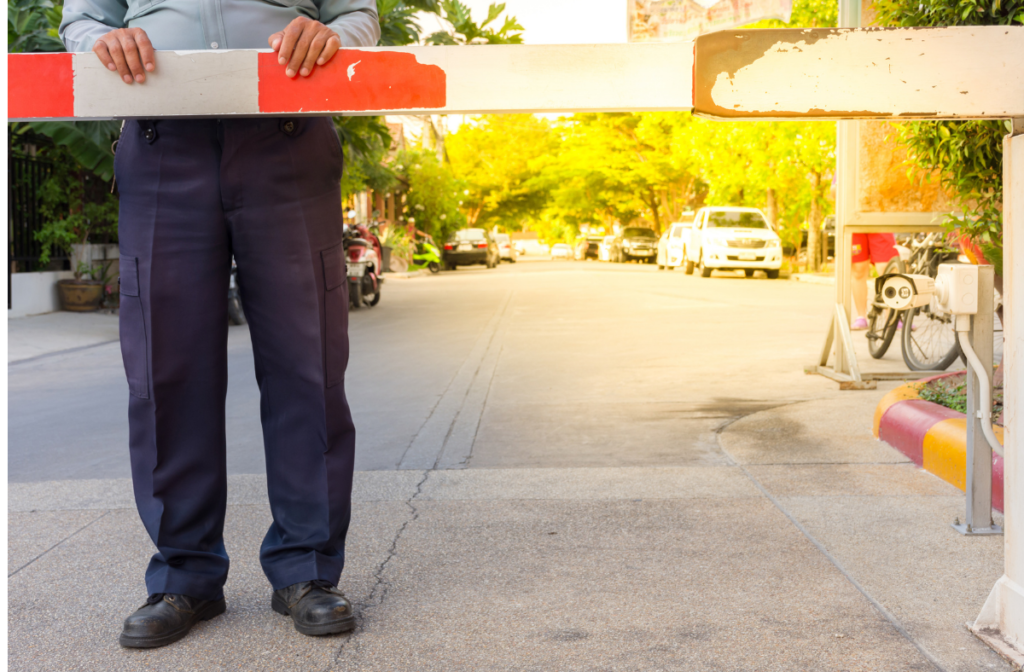 PROSEC: Traffic Control - Sting Executive Group Inc. (SEGI.ca)