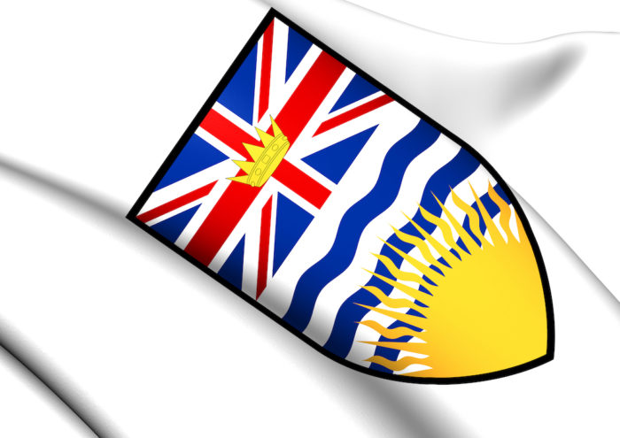 Security Guard Training in British Columbia - Sting Executive Group Inc ...