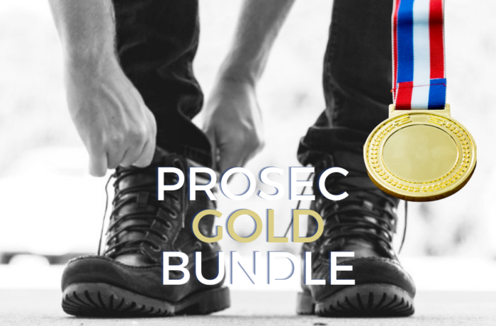 PROSEC: Gold Bundle (13 Courses) - Sting Executive Group Inc. (SEGI.ca)