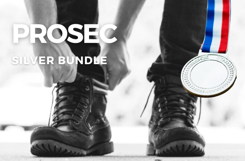 PROSEC: Professional Security Training Program - Sting Executive Group Inc.