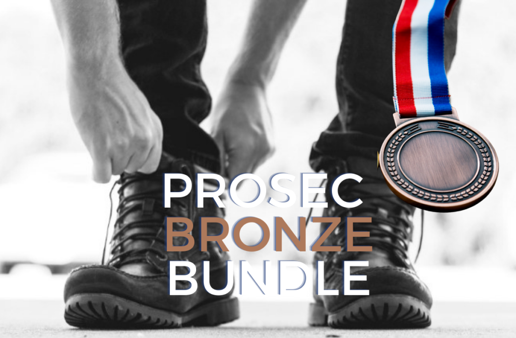 PROSEC: Professional Security Training Program - Sting Executive Group ...